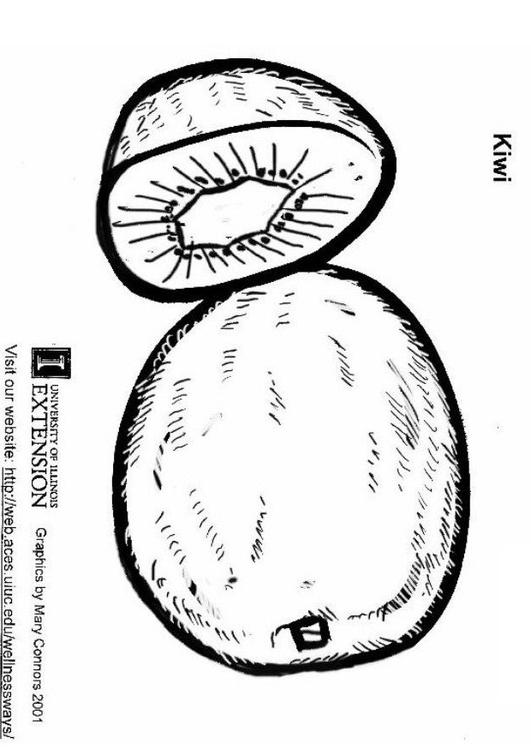 Coloring Page kiwi - Free printables - Img 5813