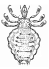 542 Health Coloring Pages - Free Printables.