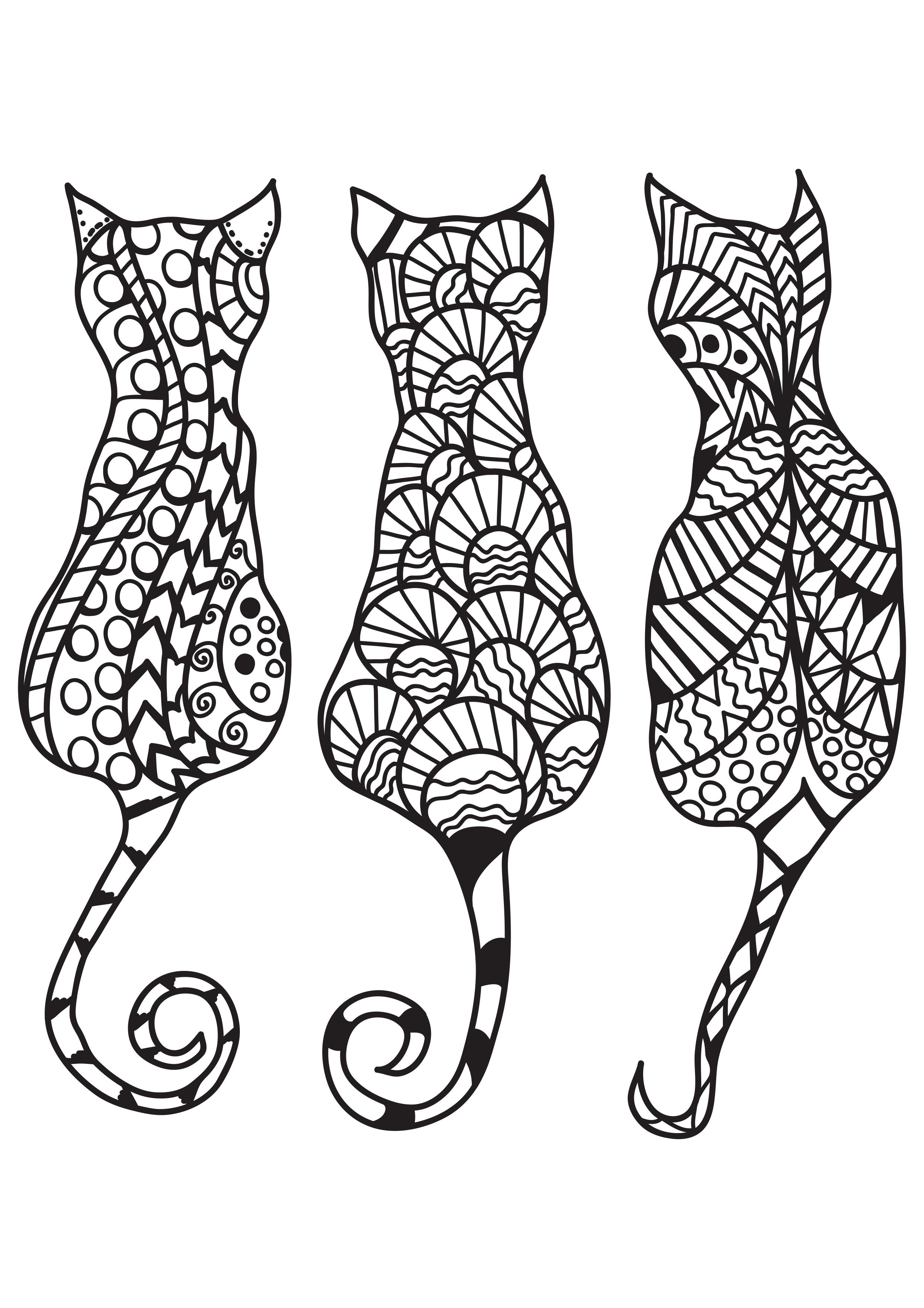 Coloring Page 3 cats - Free printables - Img 31392