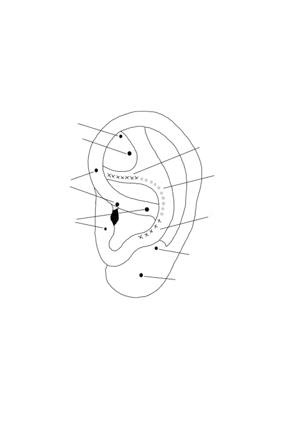 Coloring Page ear - Free printables - Img 27602