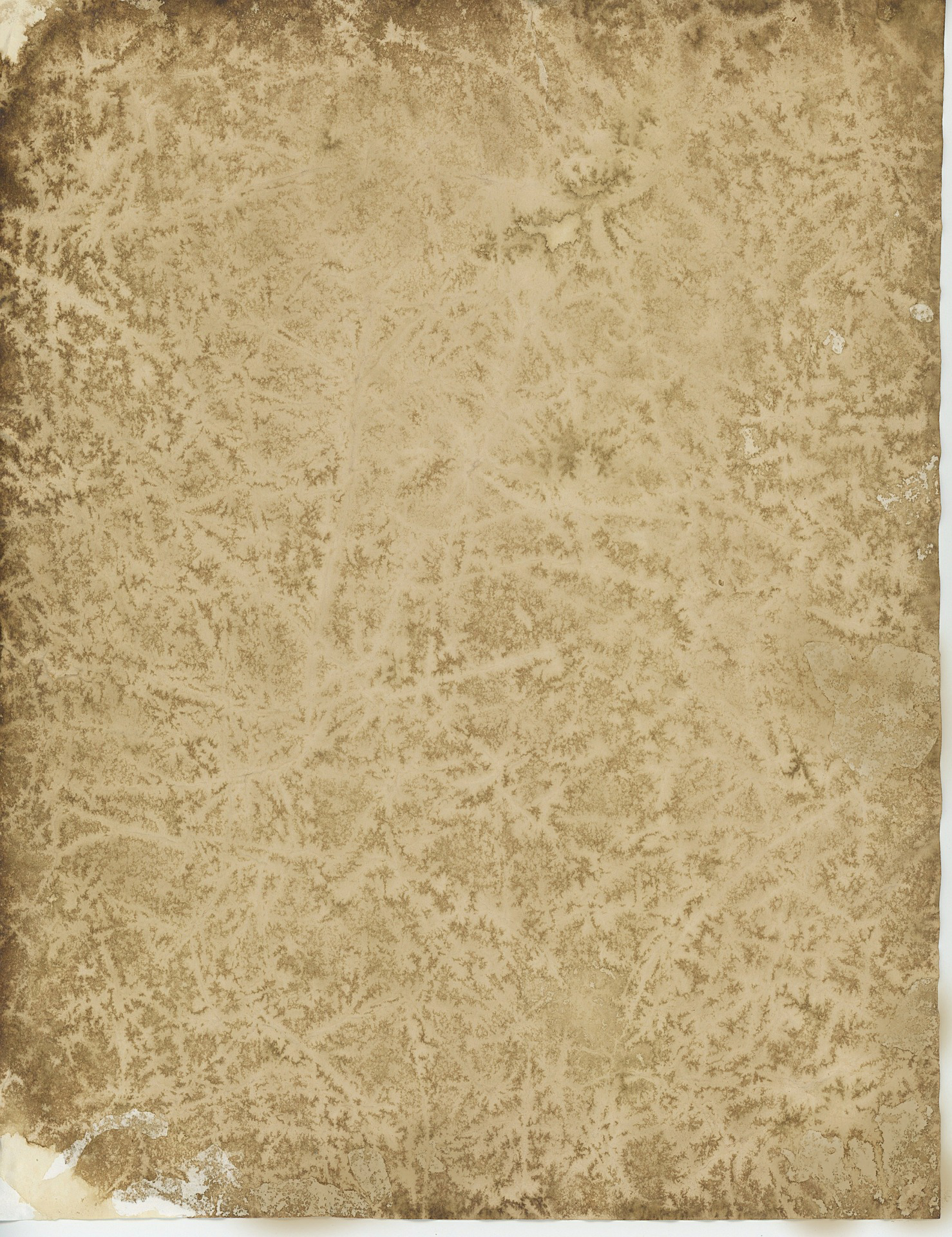 Photo parchment - Free printables - Img 28783.