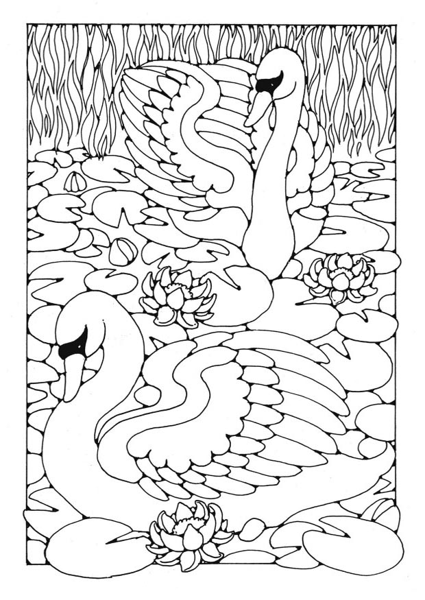 Coloring Page swans - Free printables - Img 18696