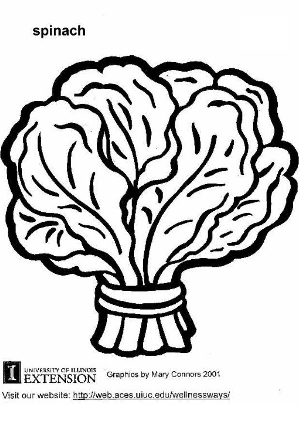 Coloring Page spinach - Free printables - Img 5898